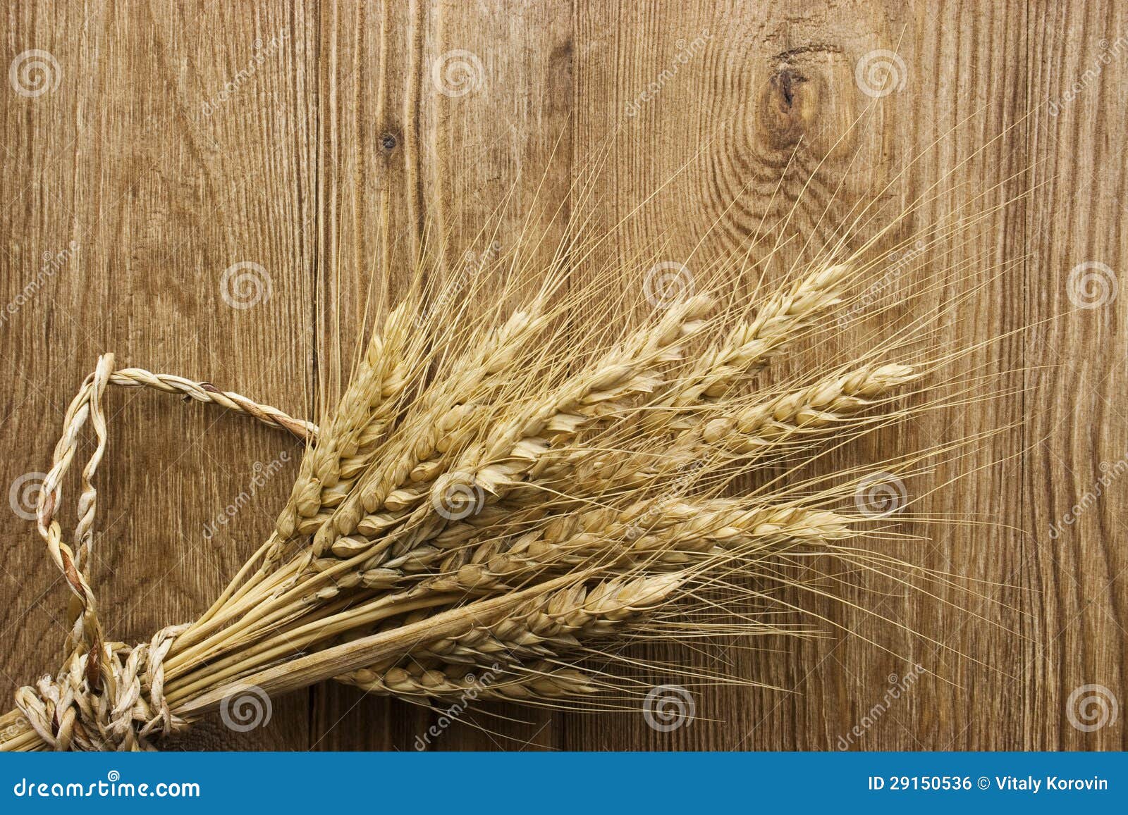 Dried Wheat Stalks on Wood stock photo. Image of grain - 29150536