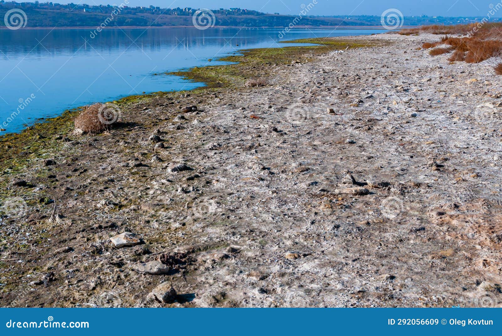 Dried and White Algae on the Shore of the Tiligul Estuary during the ...