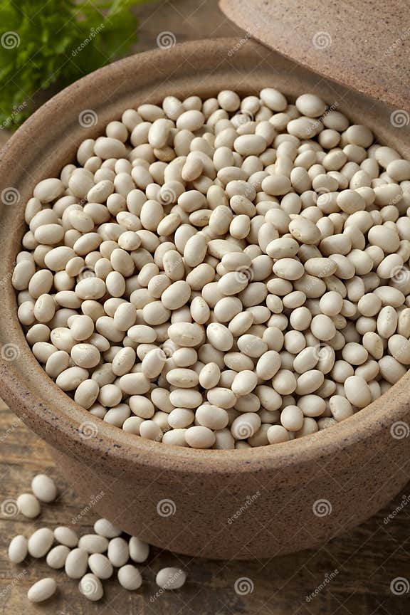 Dried white beans stock photo. Image of white, food, healthy - 39416462