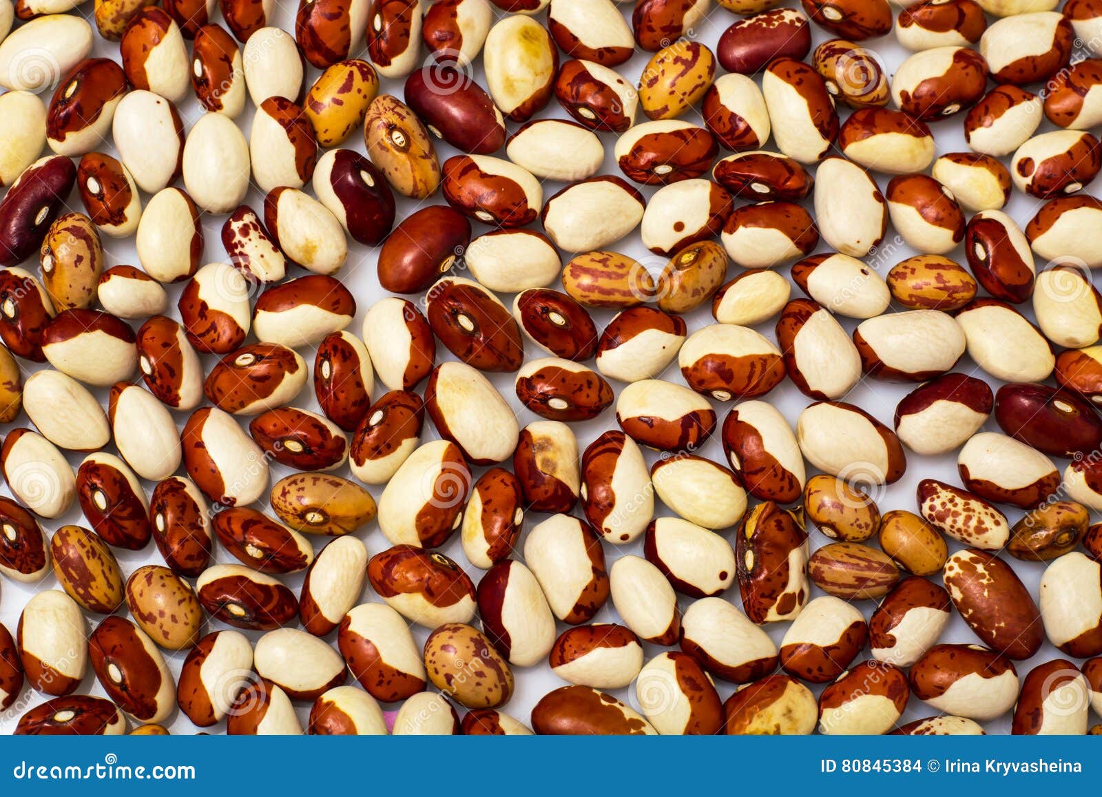 Dried White Beans stock photo. Image of vegan, pile, vegetable - 80845384