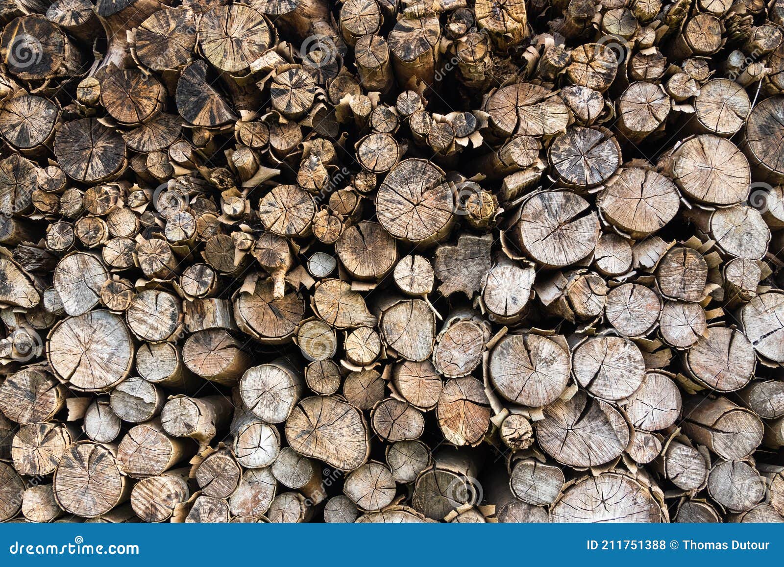 Old Sun Dried Wood And Timber Motives Stock Photo | CartoonDealer.com ...