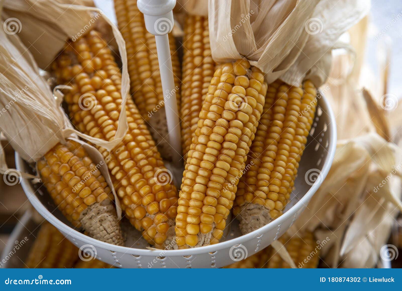 Dried yellow corn stock photo. Image of nutrition, white - 180874302
