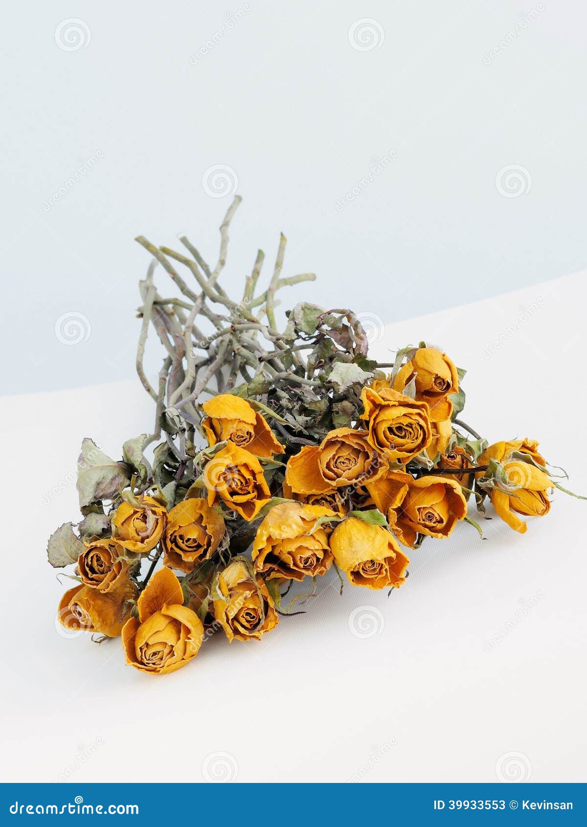 Dried yellow rose stock image. Image of friendship, garden - 39933553