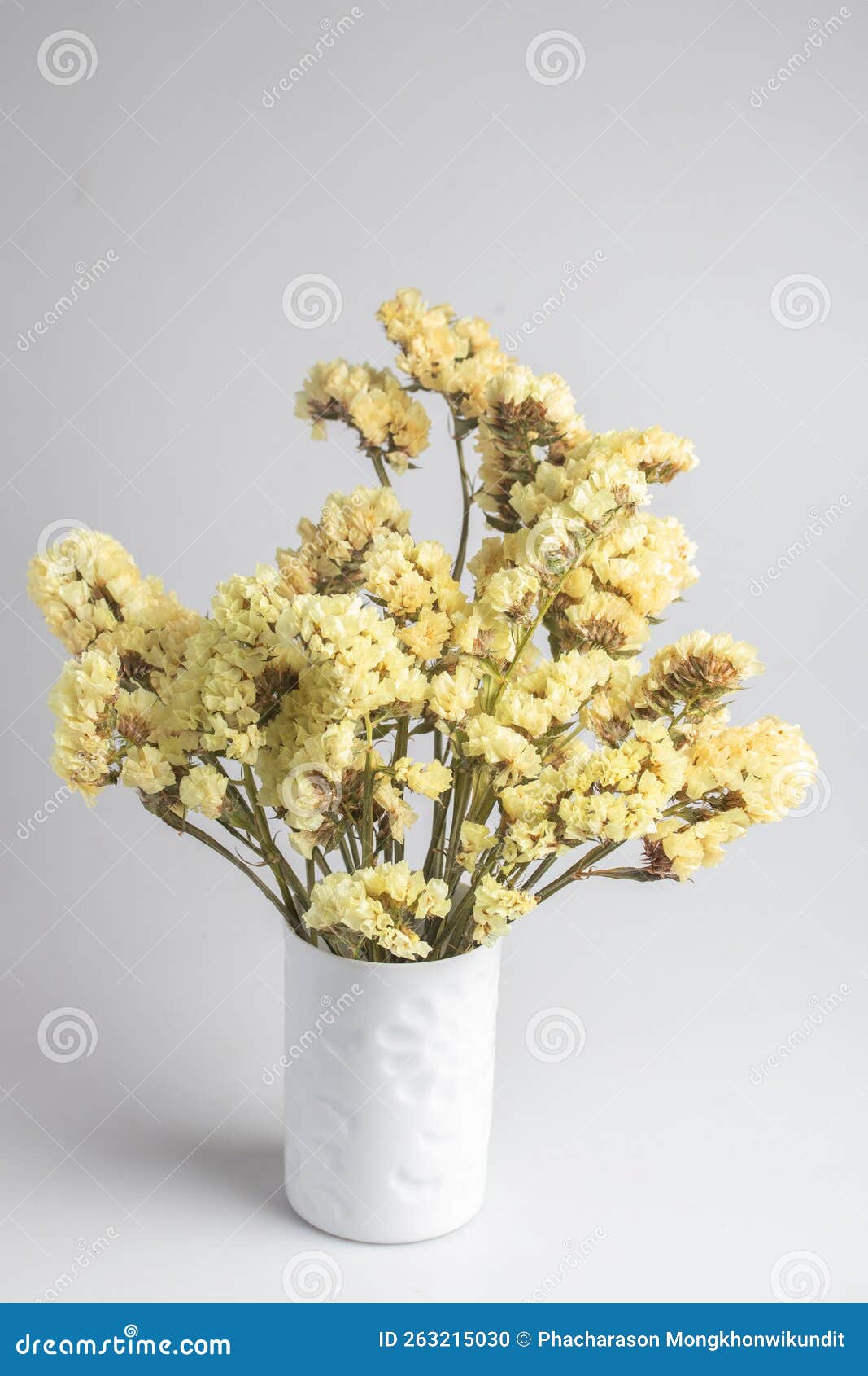 Dried Yellow Statice Flowers in a Vase Stock Photo - Image of leaf ...