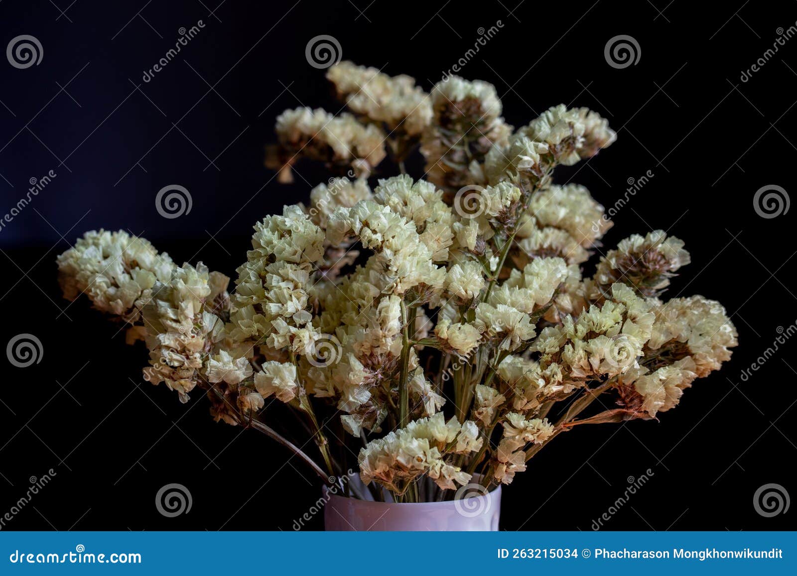 Dried Yellow Statice Flowers in a Vase Stock Photo - Image of ...