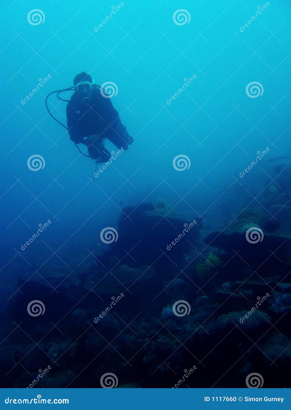 Handstand Diver Photos - Free & Royalty-Free Stock Photos from Dreamstime