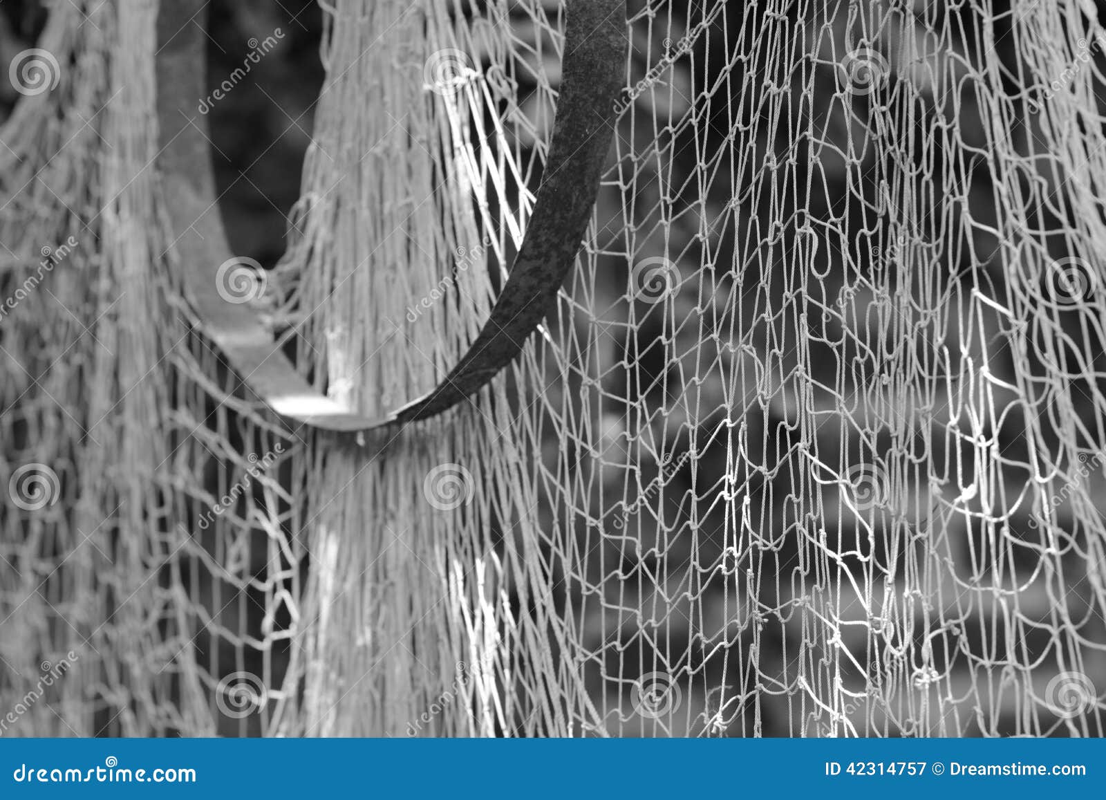 Drift Net Caught in the Moment Stock Image - Image of moment, sunny ...