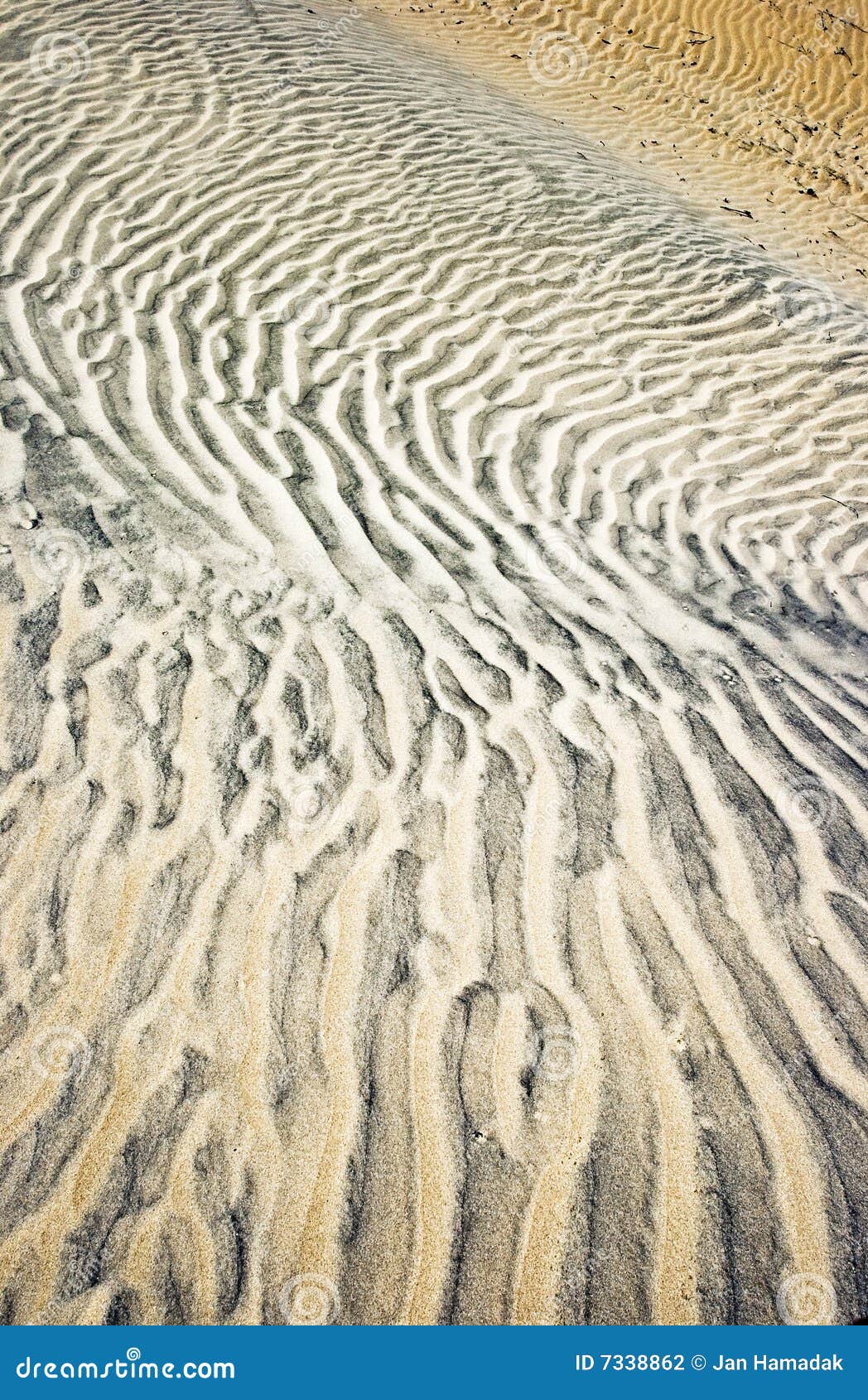 Drift sand texture stock photo. Image of nature, tack - 7338862