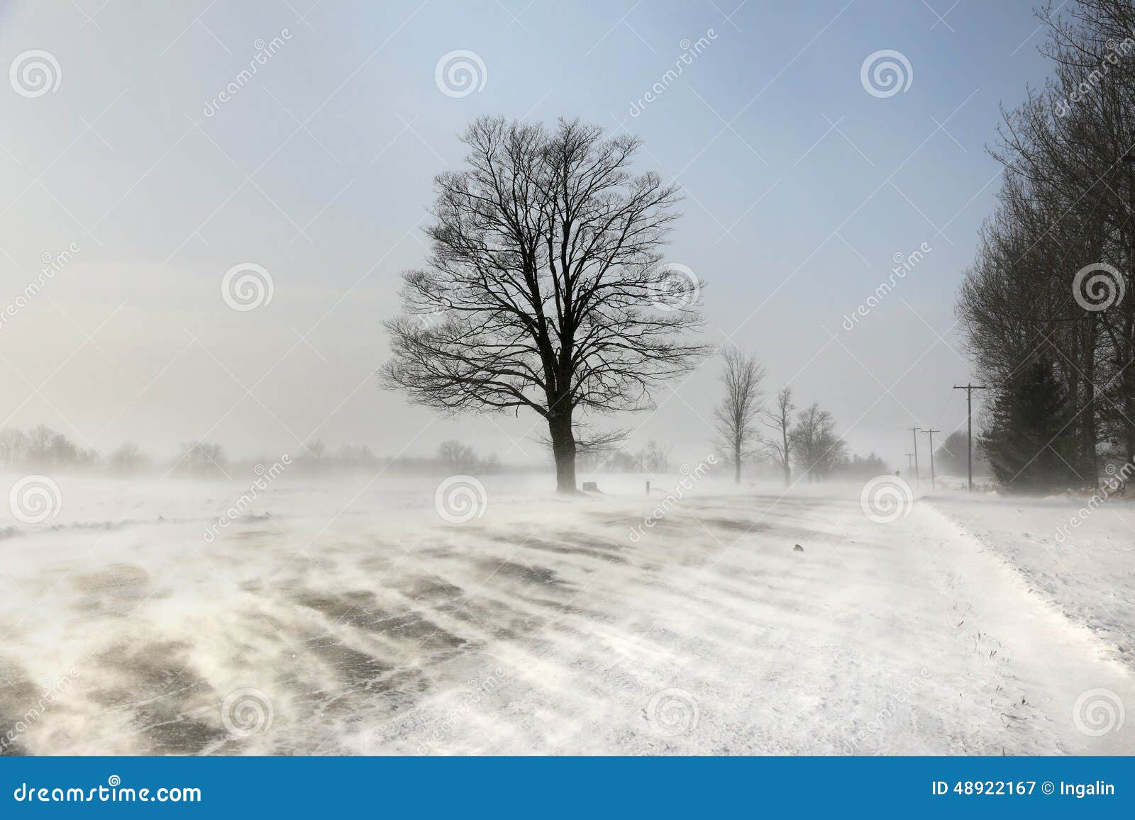 Drifting Snow Across the Road. Ontario, Canada Stock Image - Image of ...