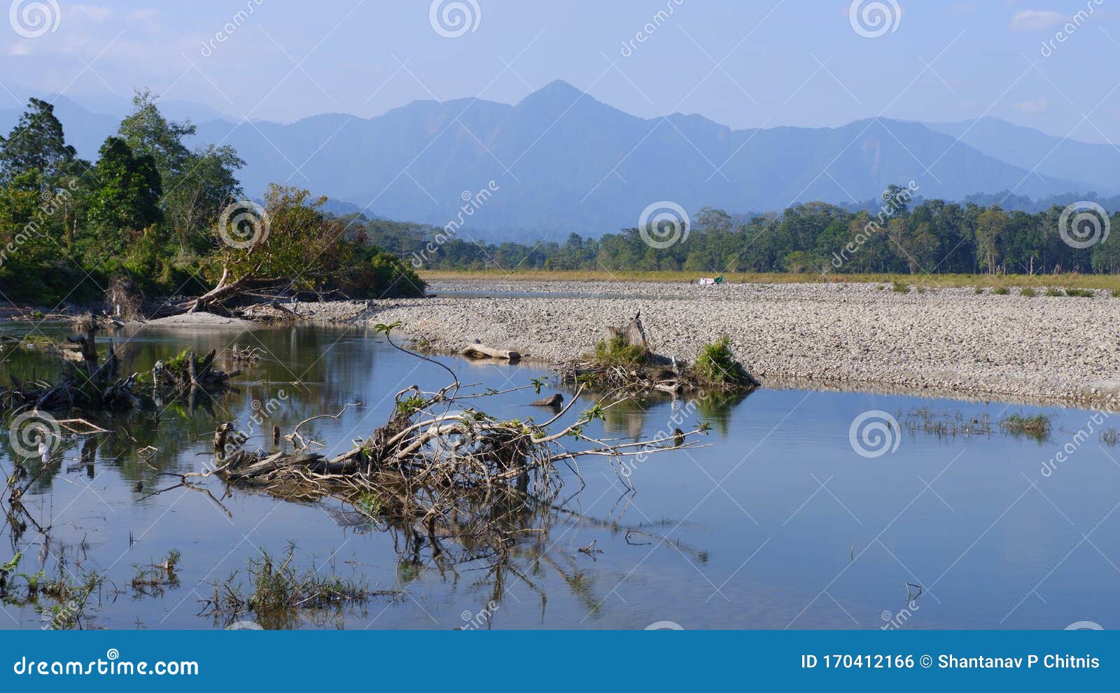Driftwood Along the Banks of the Kameng River Stock Photo - Image of ...