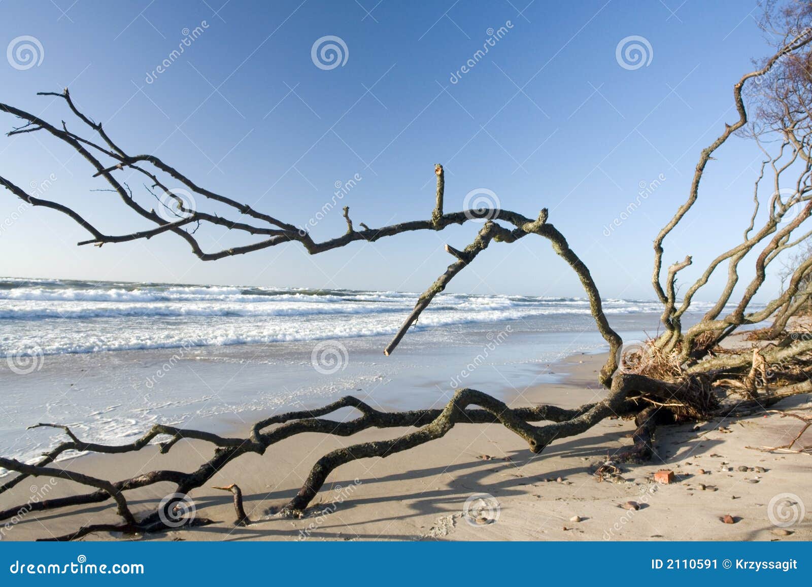 Driftwood on beach stock image. Image of small, wave, restful - 2110591