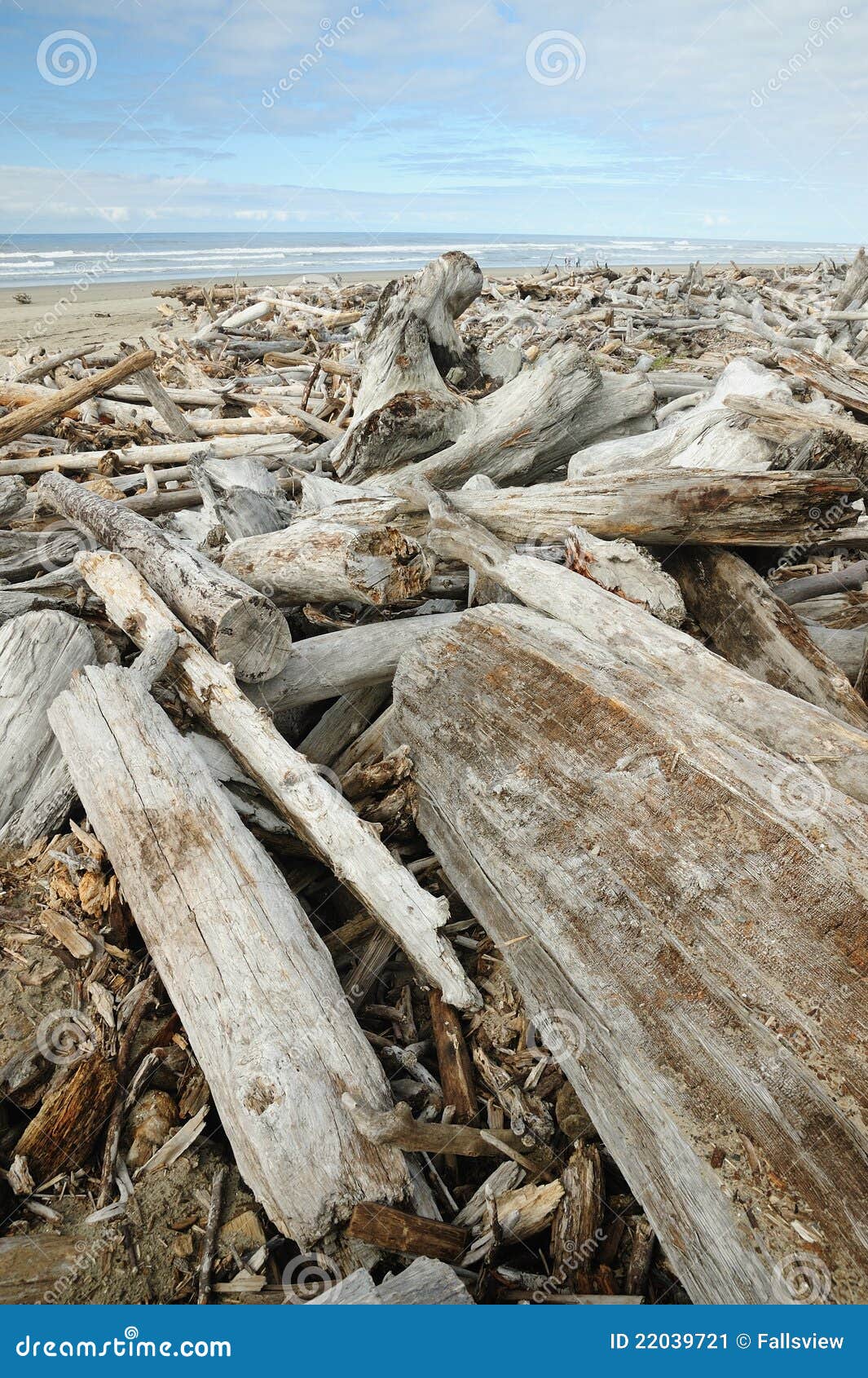 Driftwood on beach stock image. Image of driftwood, rock - 22039721