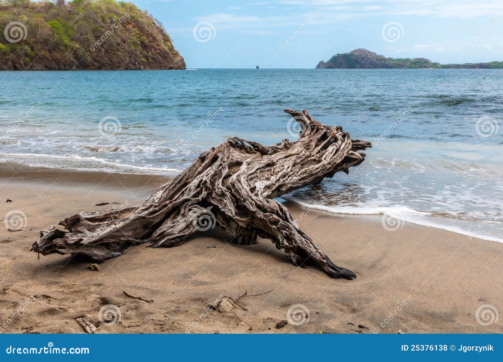 Driftwood on the beach stock photo. Image of stump, trunk - 25376138
