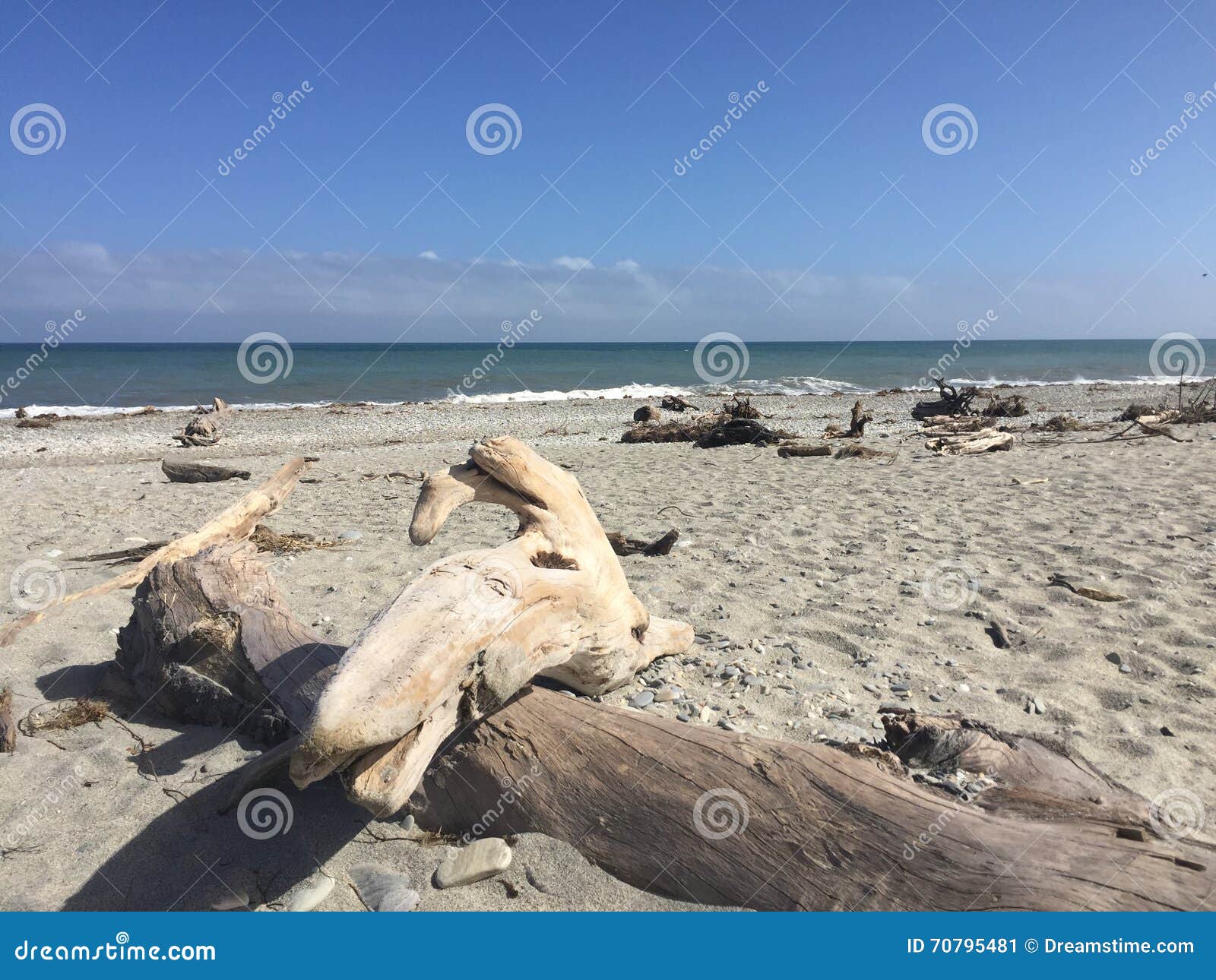 Driftwood on beach stock image. Image of vacation, waves - 70795481