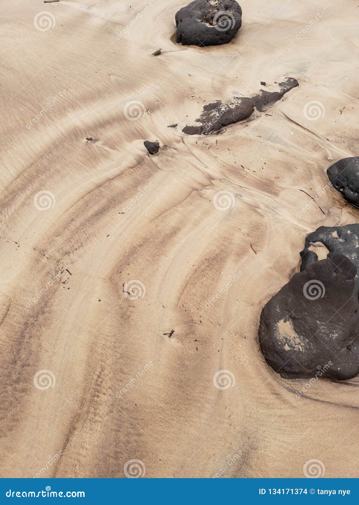 Sand Ripples stock photo. Image of sand, beach, ripples - 134171374