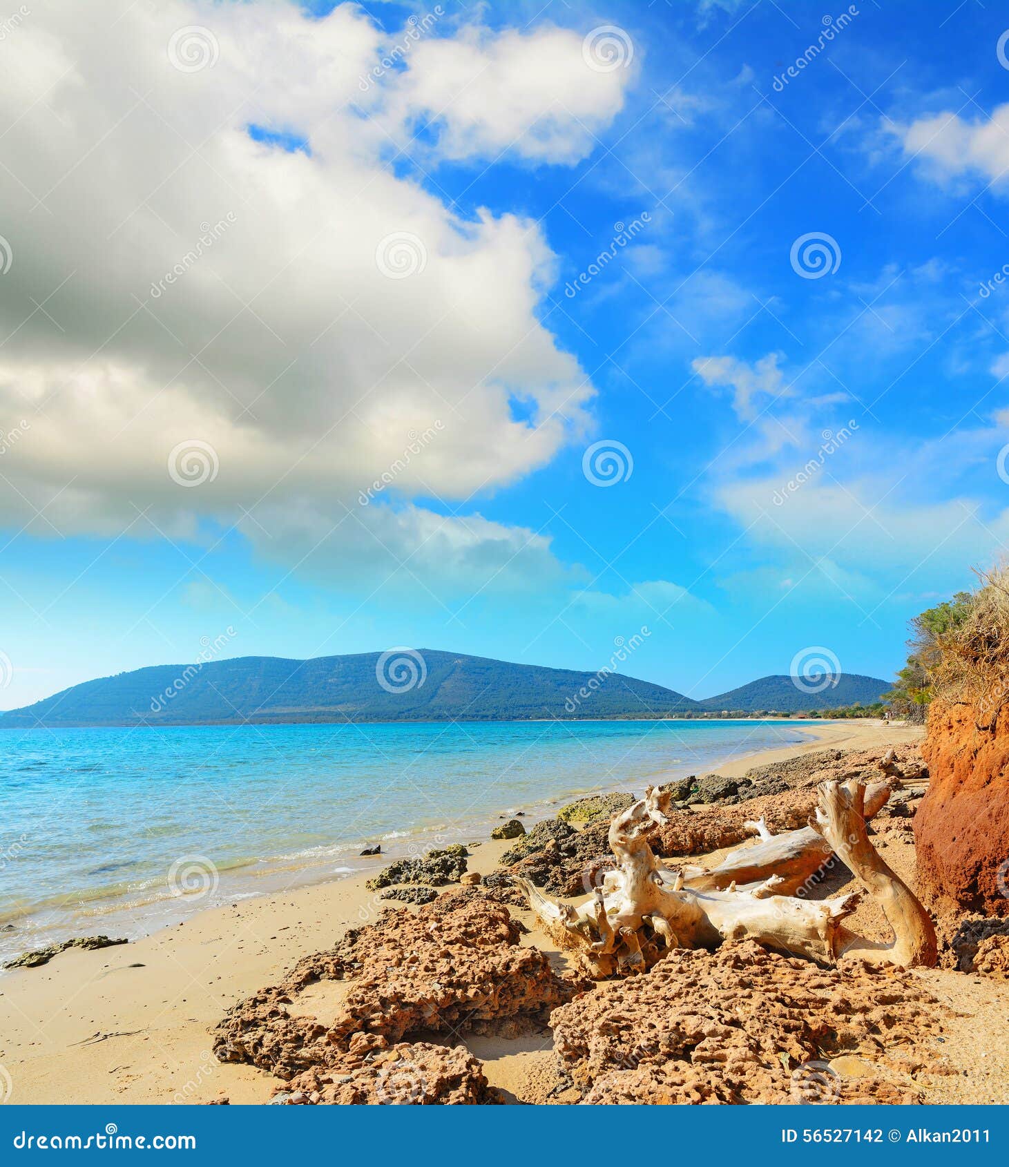 Driftwood by Mugoni Beach Shoreline Stock Photo - Image of landscape ...