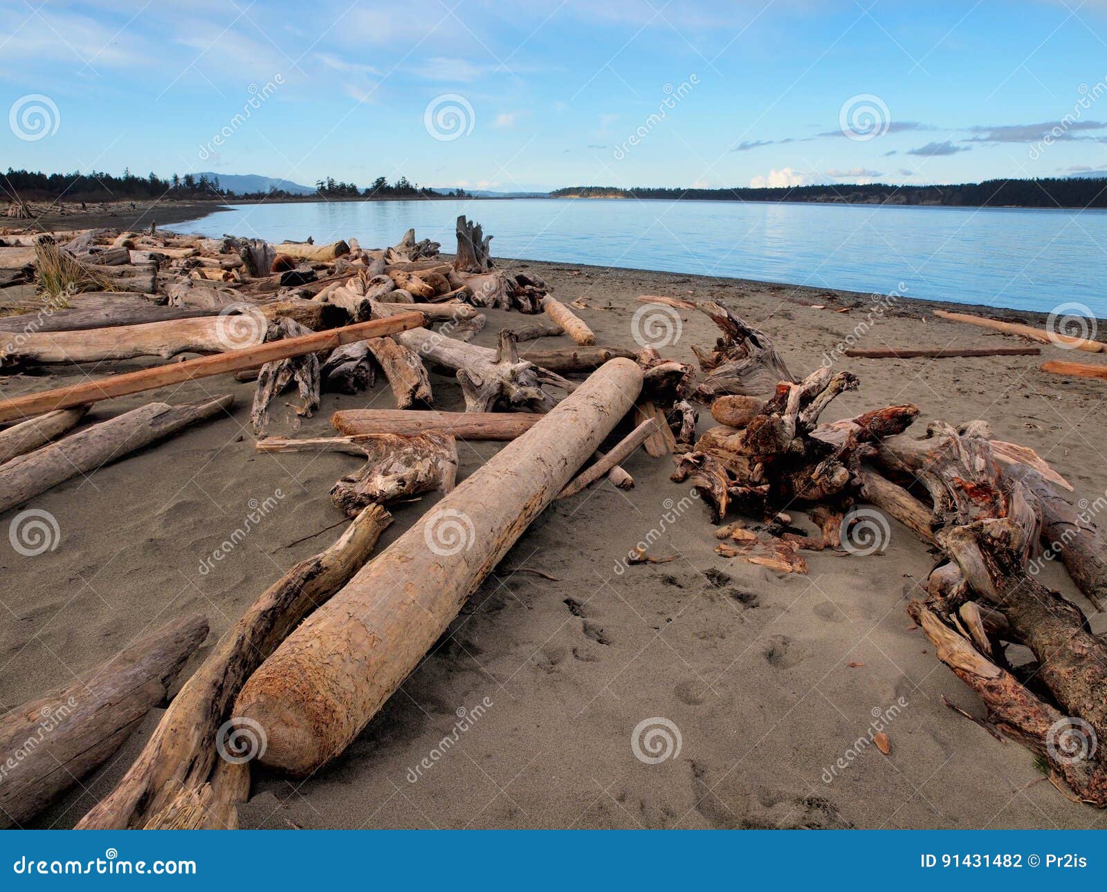 Driftwood on a Sandy Ocean Beach Stock Photo - Image of water, evening ...