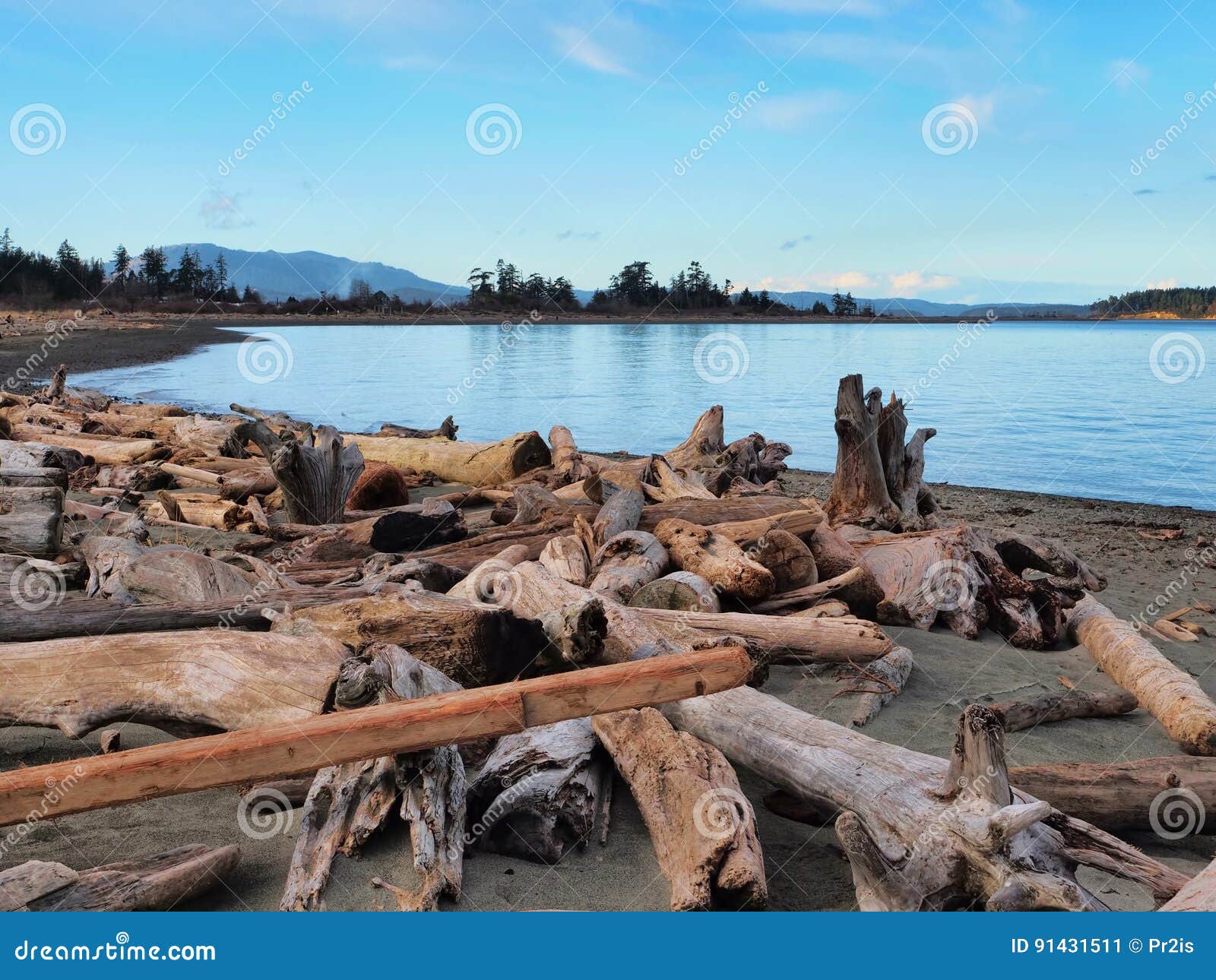 Driftwood on a Sandy Ocean Beach Stock Image - Image of walkway ...