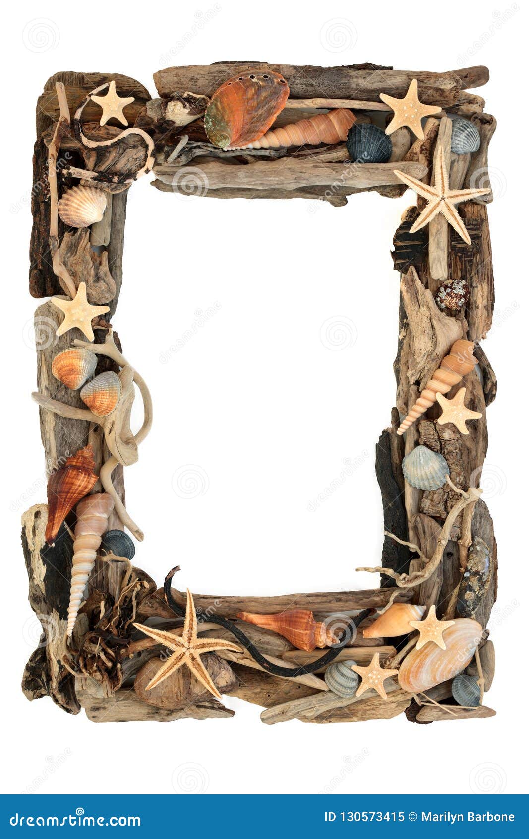 Driftwood and Seashell Abstract Border Stock Image - Image of natural ...