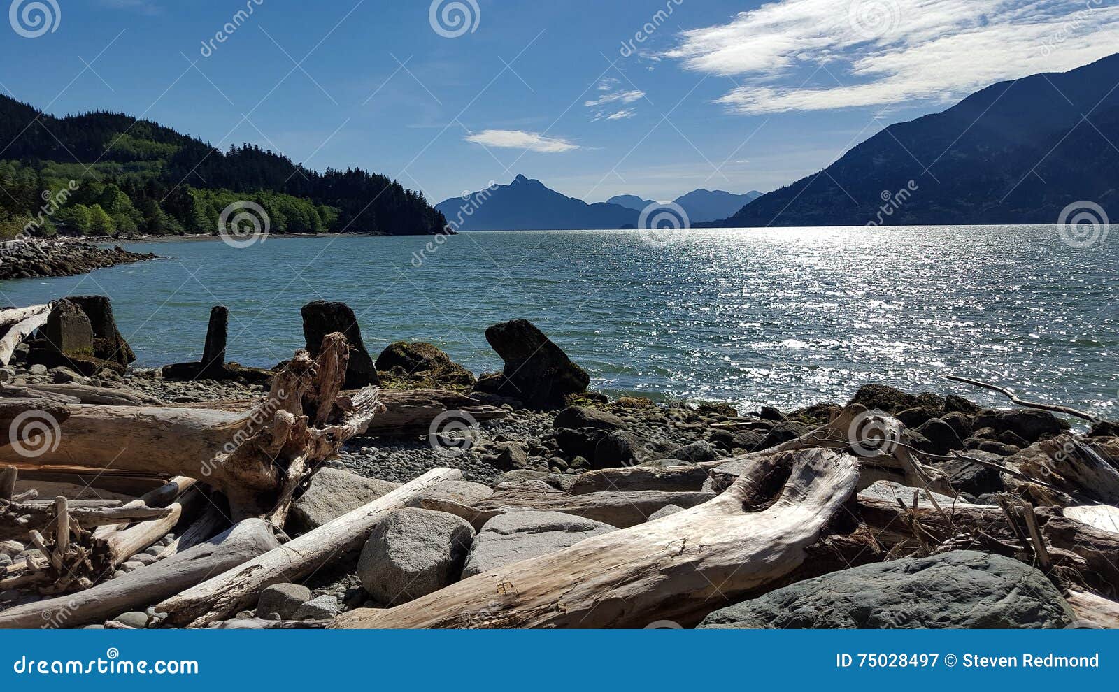 Driftwood On The Shore Of Shine Tidelands State Park On Bywater Bay ...
