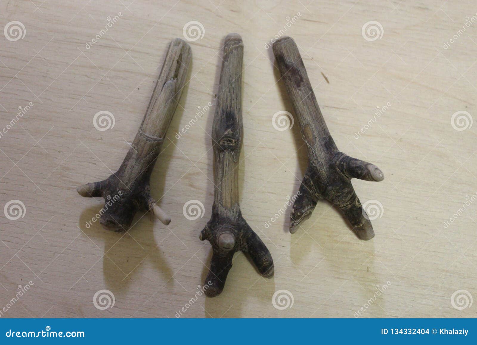 Driftwood Sticks in a Shape of a Bird`s Claw Stock Photo - Image of ...