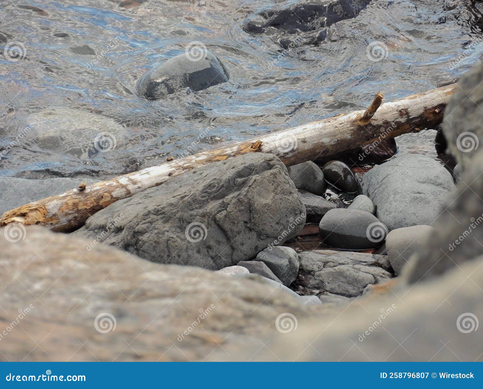Driftwood Stuck on the Rock in the River Stock Image - Image of rock ...