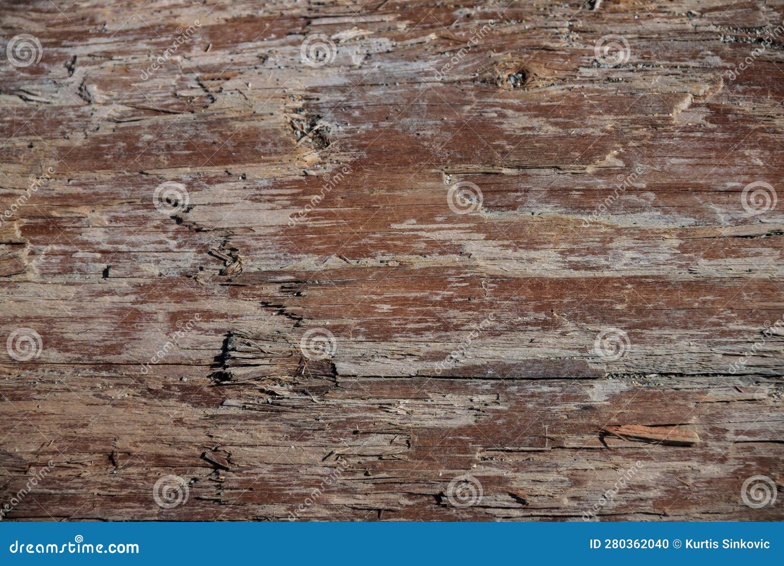 Driftwood Telephone Pole Texture W Banded Gouges & Light Surface Sand ...