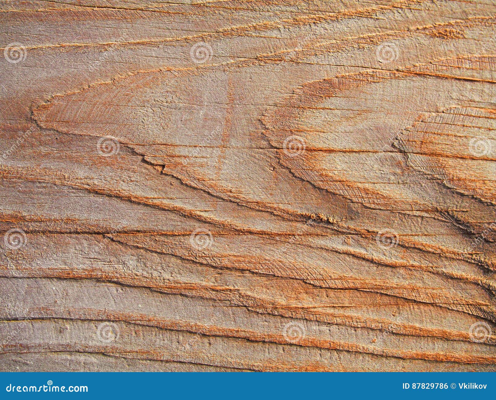 Driftwood Texture, Grain Rough Drift Wooden Background Stock Photo ...