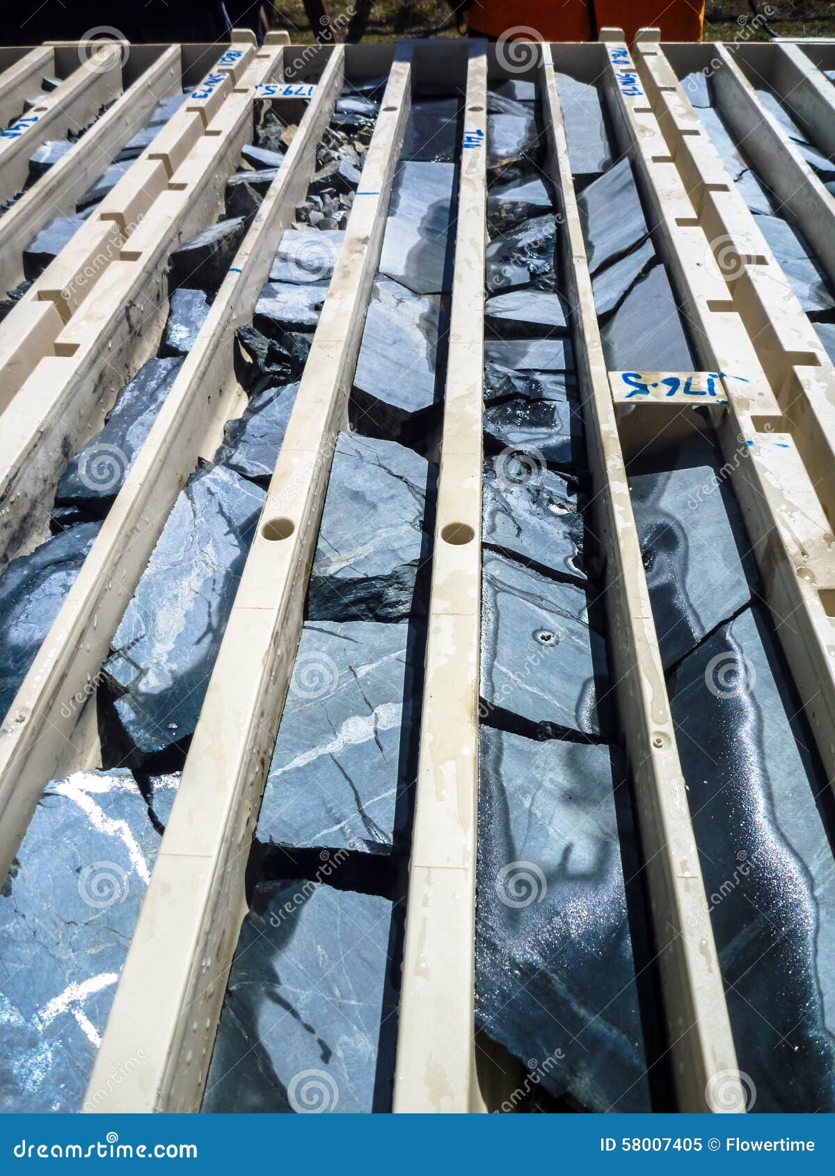 Drill Core Trays from Gold Deposit Stock Image - Image of logs ...