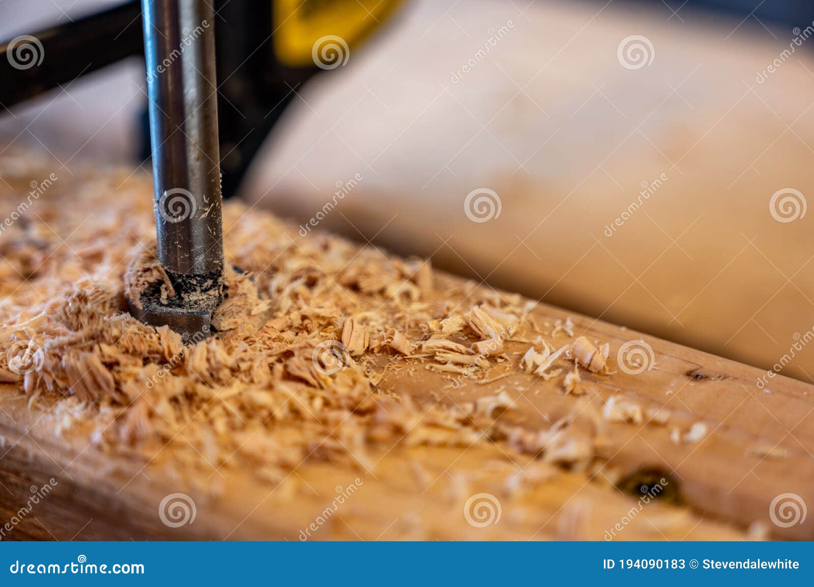 Auger Hole Cross Section in Pine Stud Stock Image - Image of layers ...
