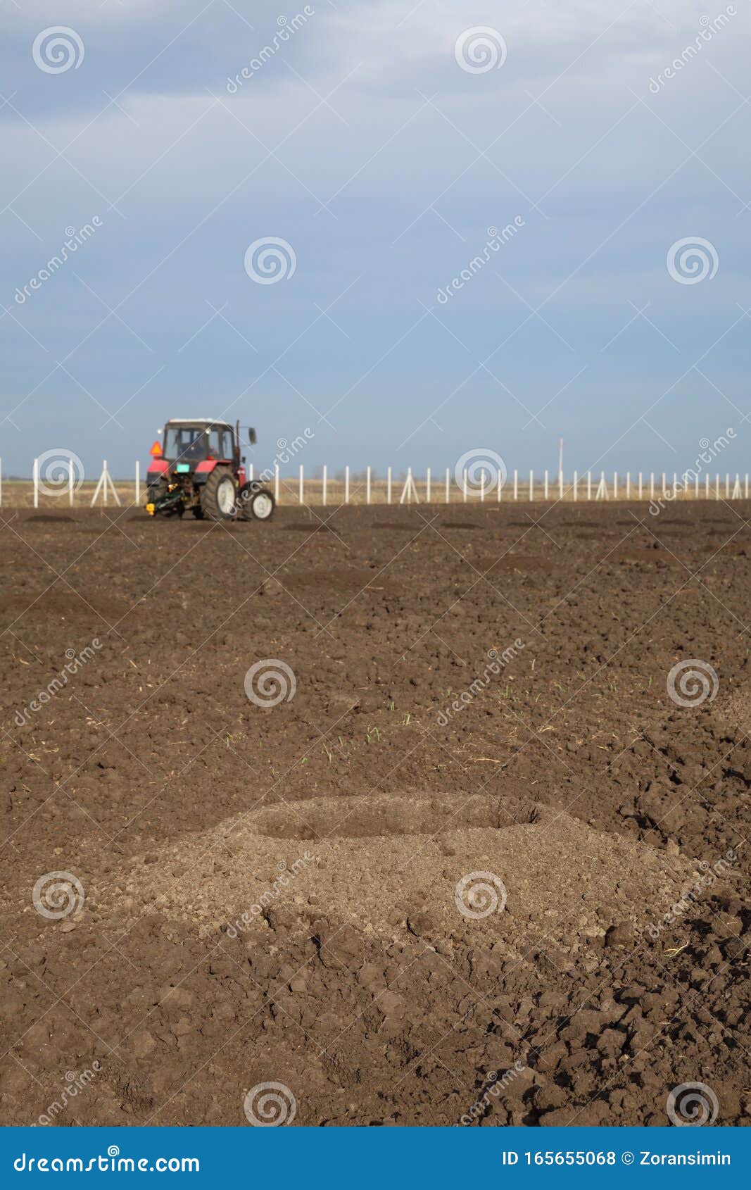 Drilling Holes in Field, Preparing for Tree Planting Stock Photo ...