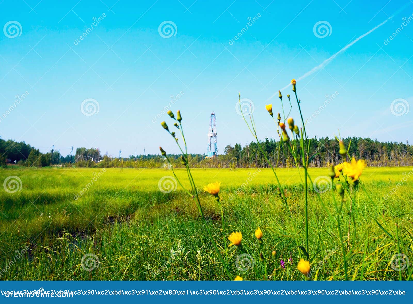Drilling Rig among the Marsh Grass and Flowers . Stock Image - Image of ...