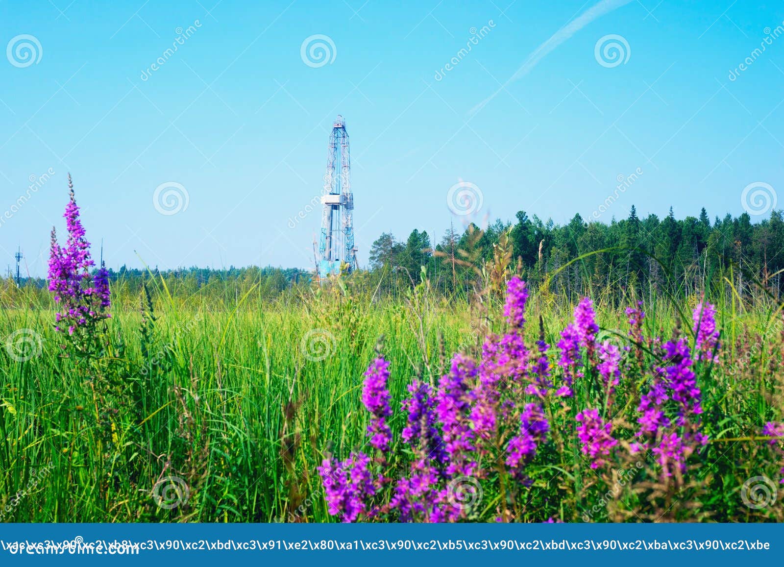 296 Drilling Rig Grass Stock Photos - Free & Royalty-Free Stock Photos ...