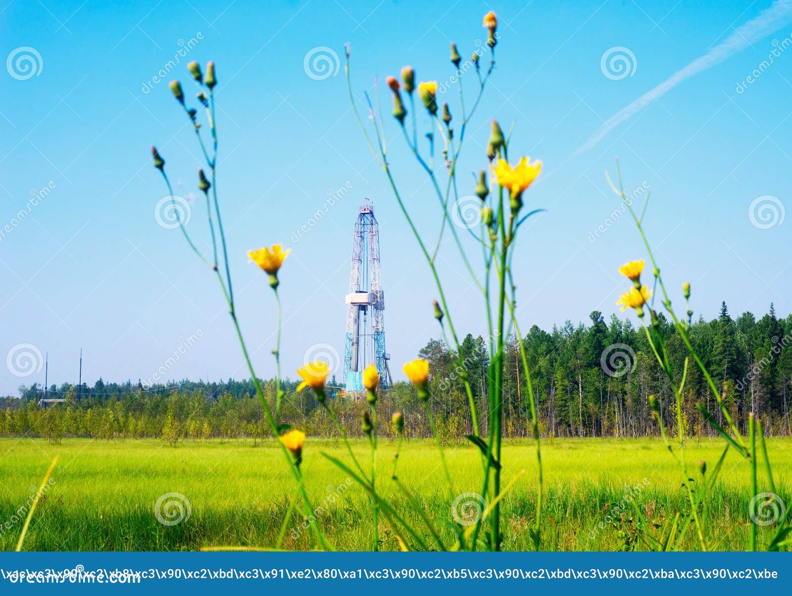 Drilling Rig among the Marsh Grass and Flowers . Stock Image - Image of ...