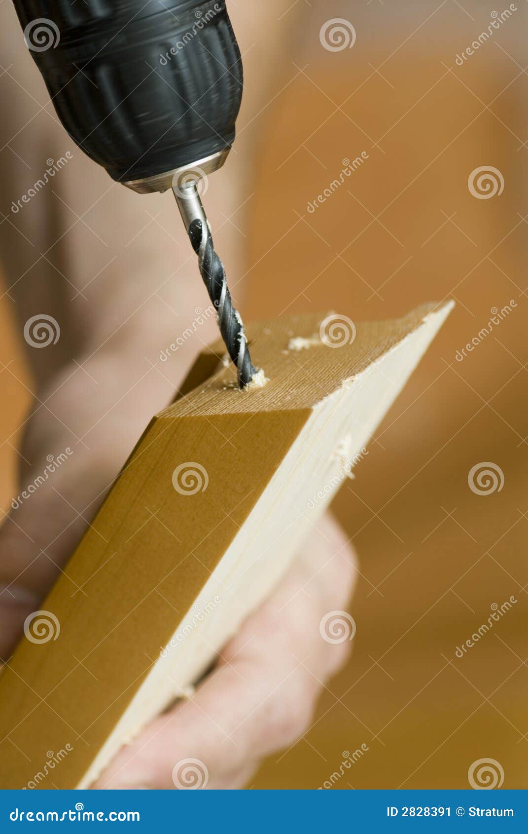 Drilling of a tree stock image. Image of carpenter, worked - 2828391