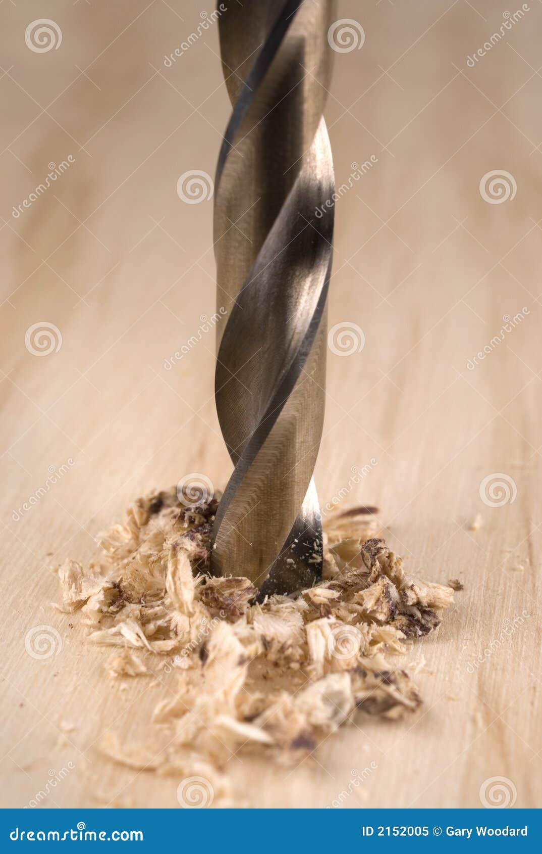 Drilling in Wood. stock image. Image of drill, hole, closeup - 2152005