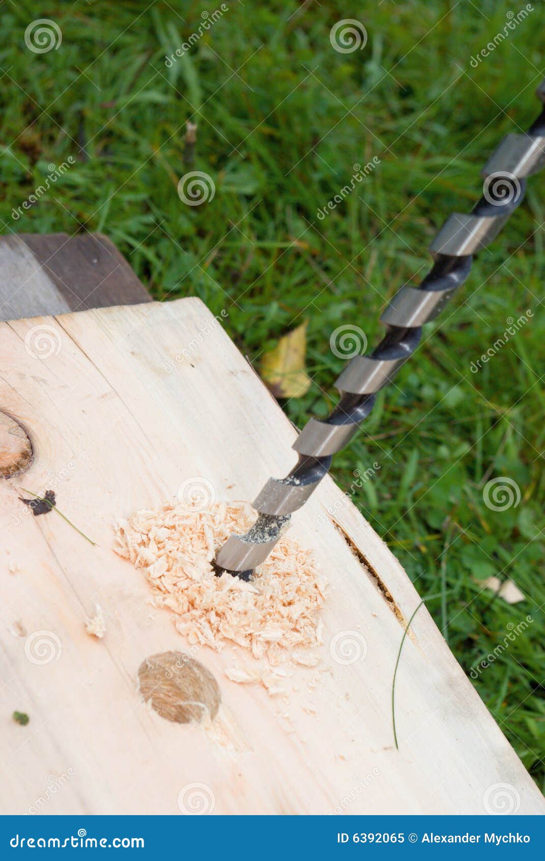 Drilling in wood stock image. Image of hole, bore, implements - 6392065