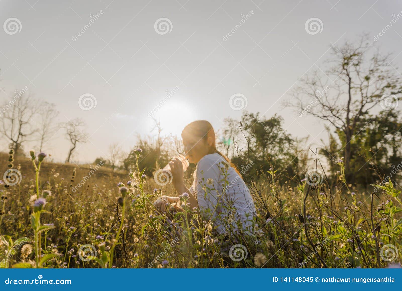 Drink Boba Tea in the Grassland, Sunset Light Stock Image - Image of ...