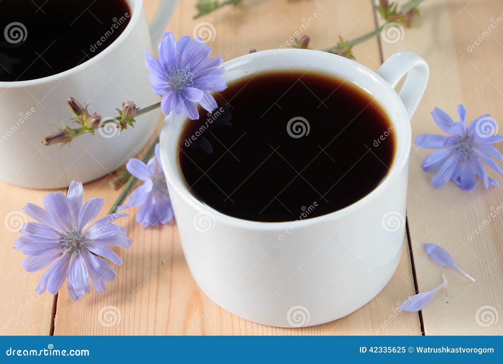 Drink with chicory roots stock image. Image of chicory - 42335625