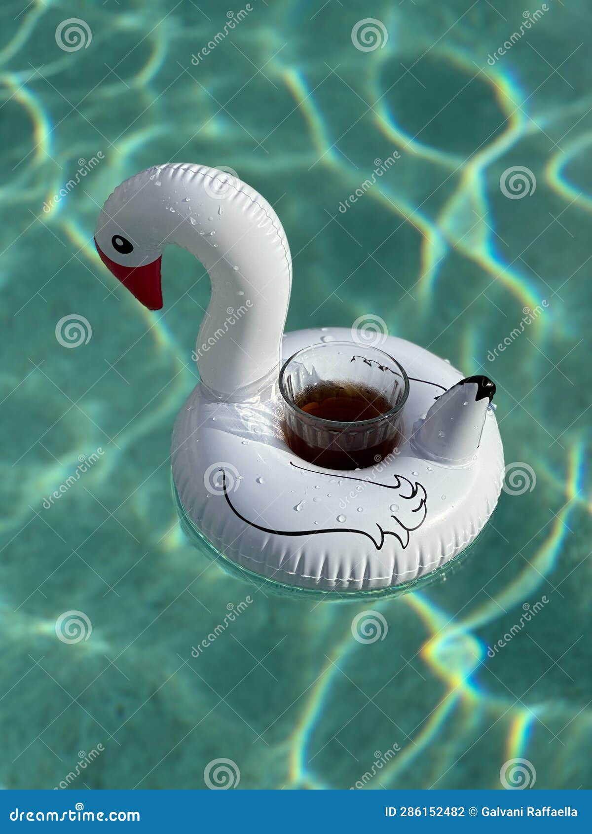 Drink Floating in a Funny Inflatable in the Shape of Swan Stock Photo ...
