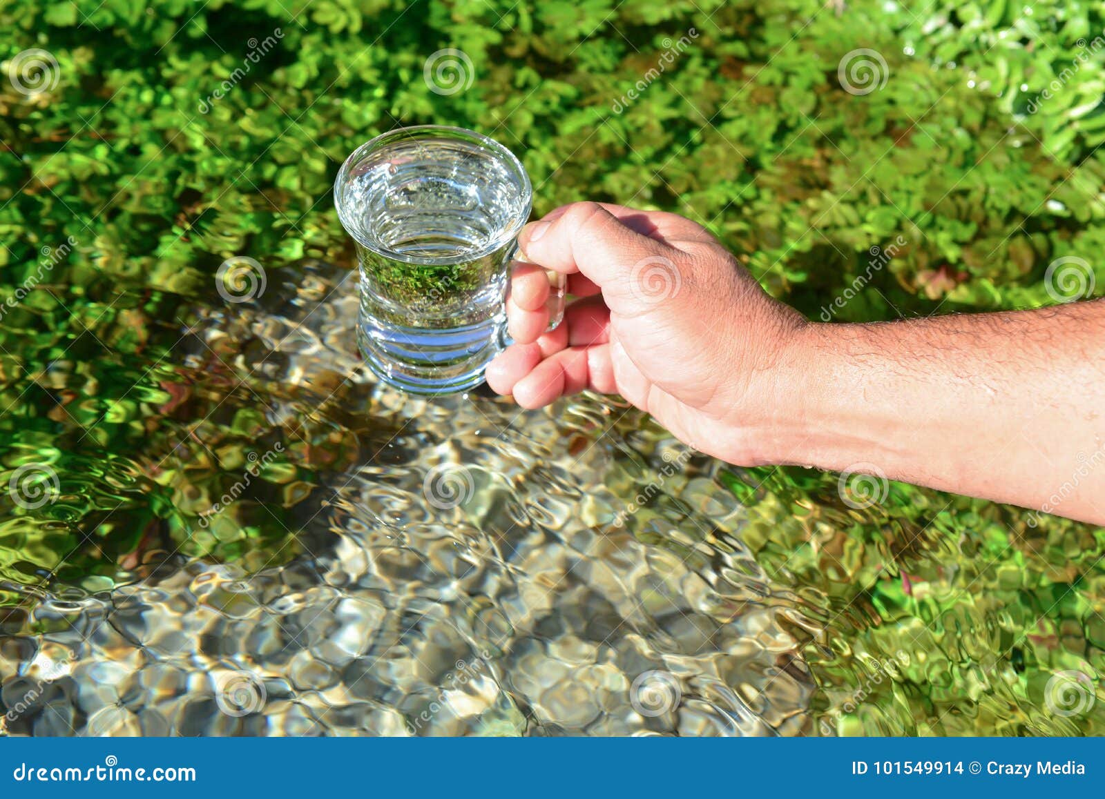 Clean and Cold Spring Water Stock Photo - Image of water, clean: 101549914