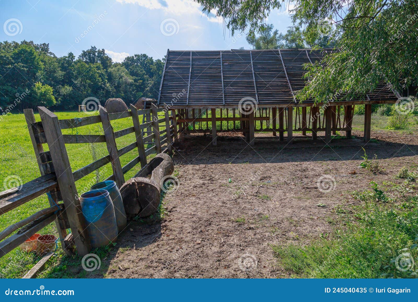 A Drinker Made from a Log for Animals and Cattle on a Farm. Background ...