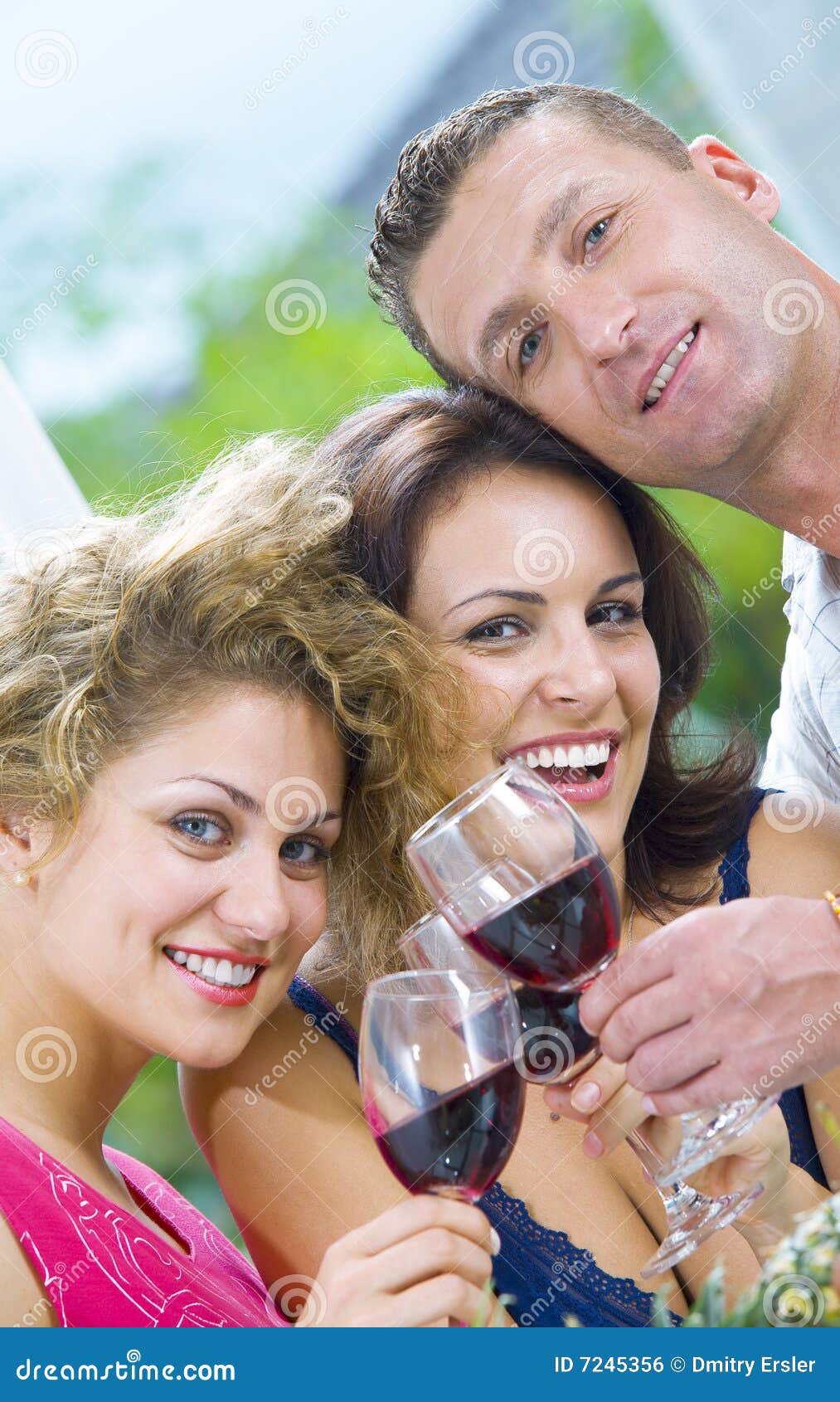 Drinkers stock photo. Image of alcohol, glass, birthday - 7245356