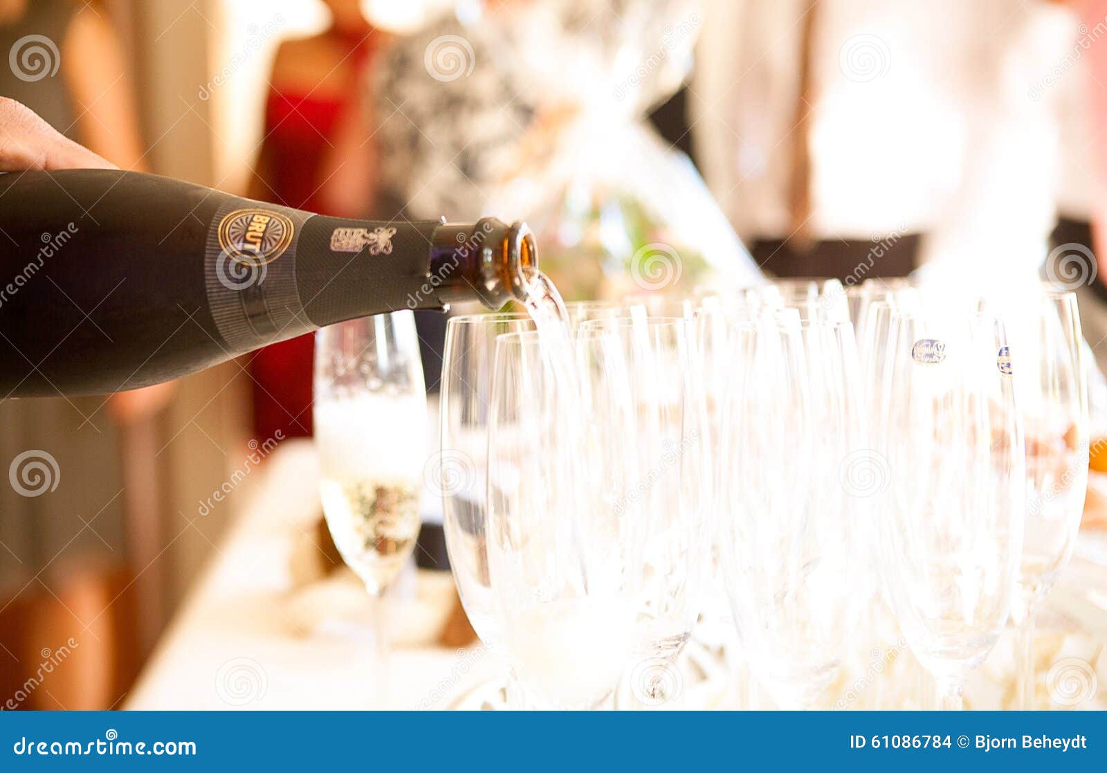 Drinking champaign stock photo. Image of ready, alcohol - 61086784