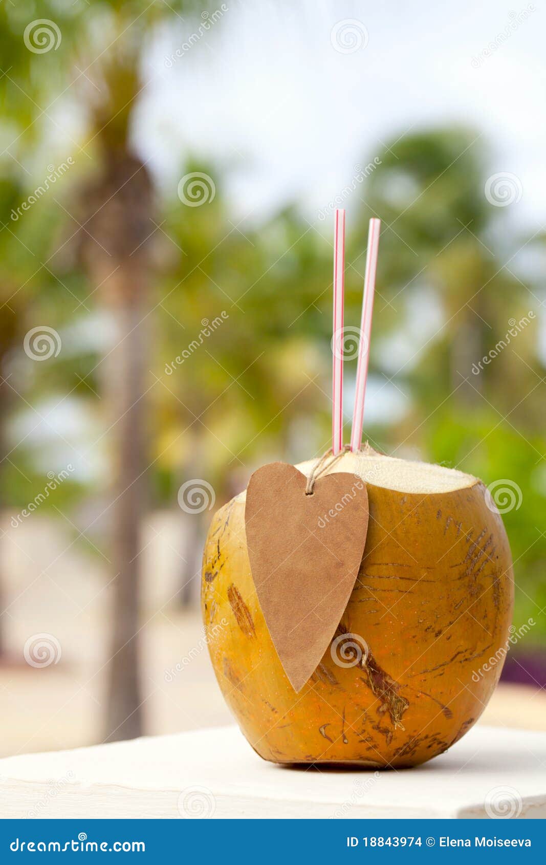 Drinking Coconut Paper Heart Tag Stock Photo - Image of refreshment ...