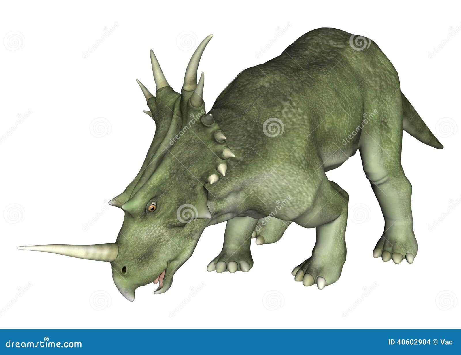 Drinking Dinosaur Styracosaurus Stock Illustration - Illustration of ...