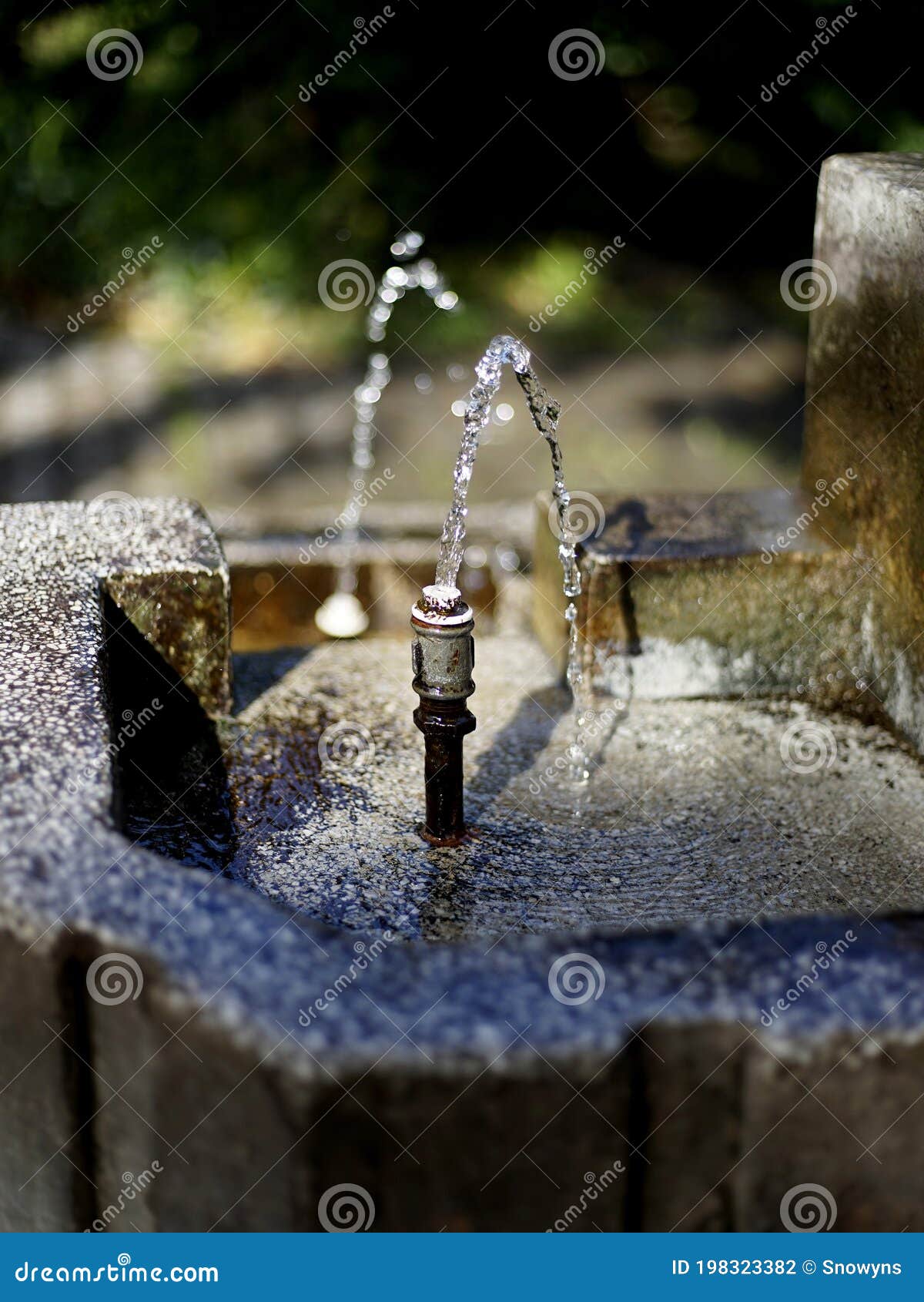 Drinking Fountains Water in a Park Stock Photo - Image of outdoors ...