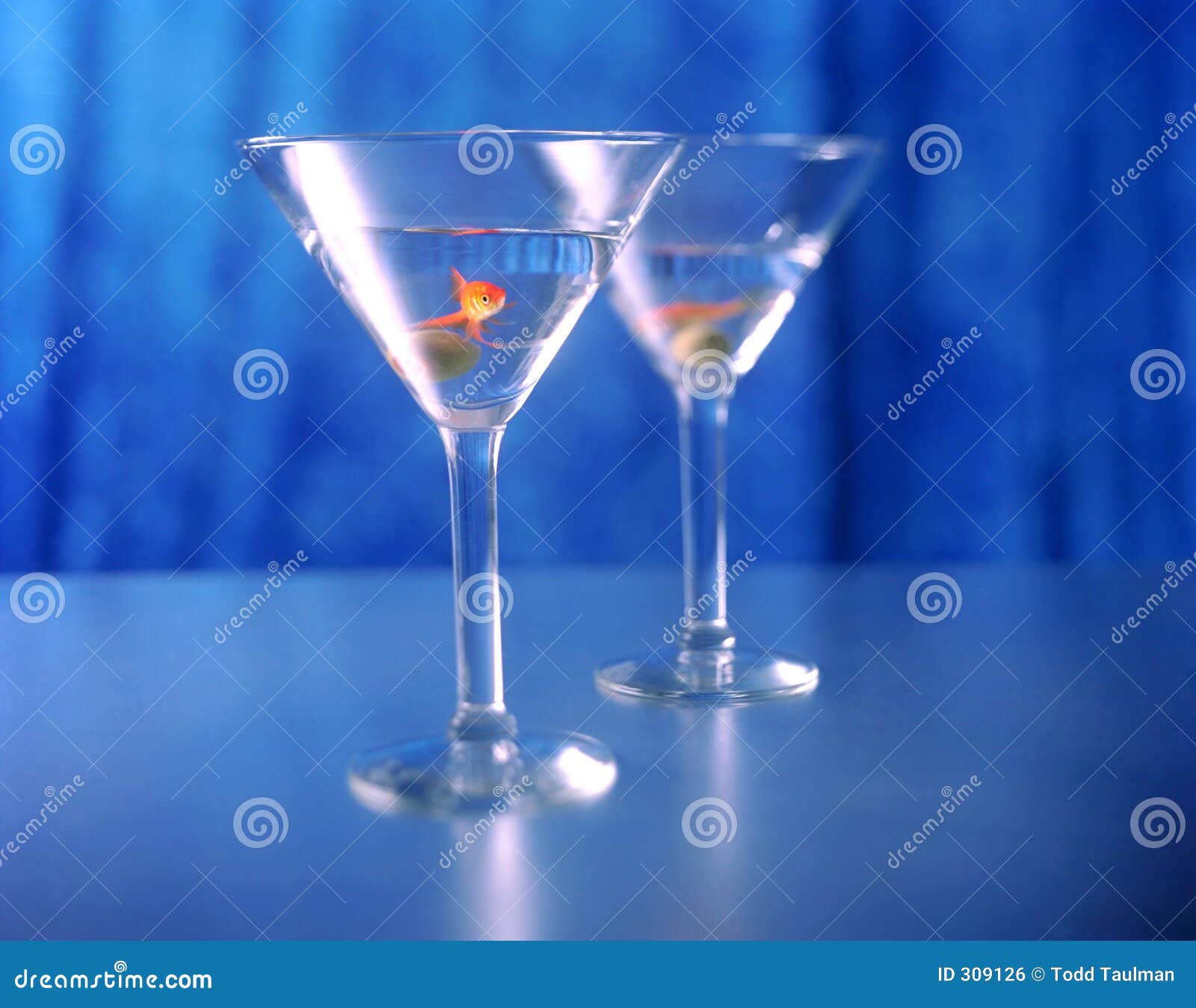 Drinking Like a Fish stock photo. Image of vodka, glass - 309126