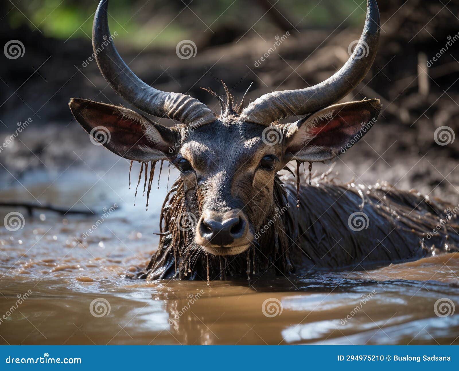 Nyala Cartoons, Illustrations & Vector Stock Images - 435 Pictures to ...