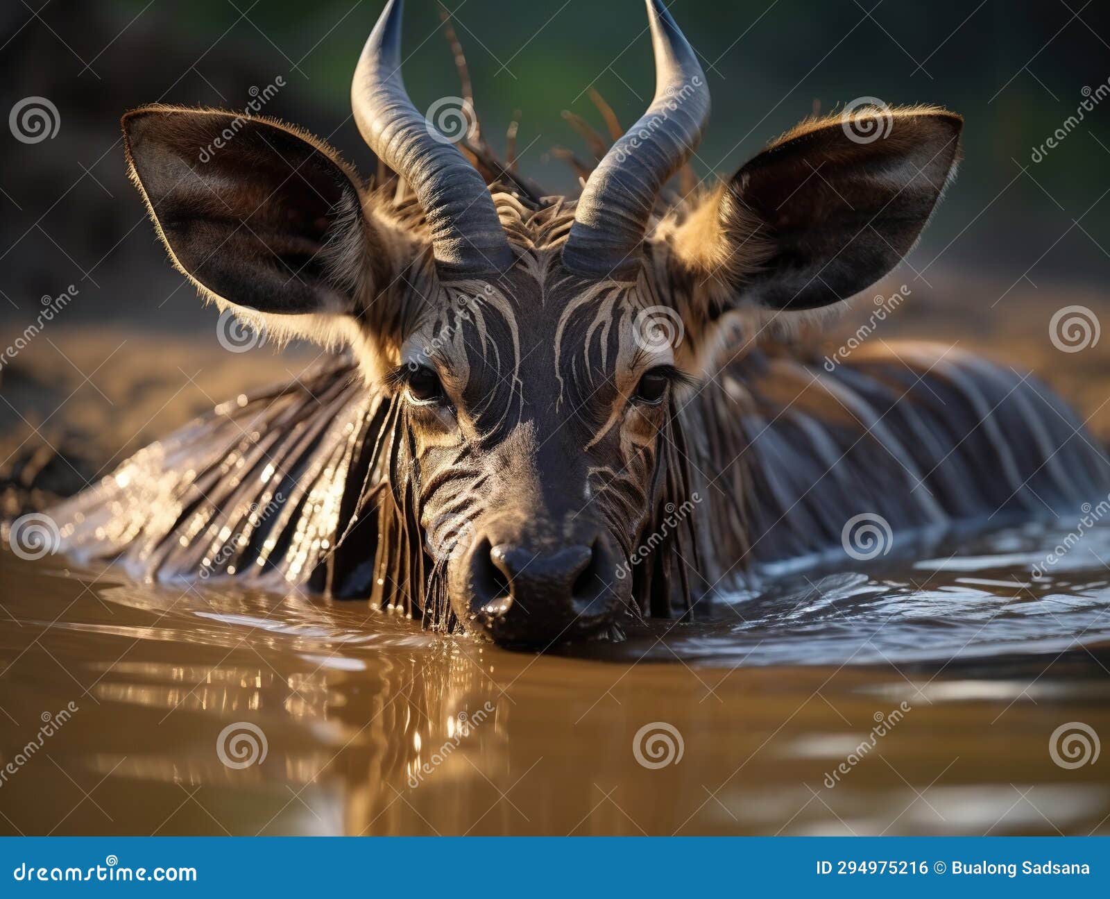 Nyala Cartoons, Illustrations & Vector Stock Images - 435 Pictures to ...